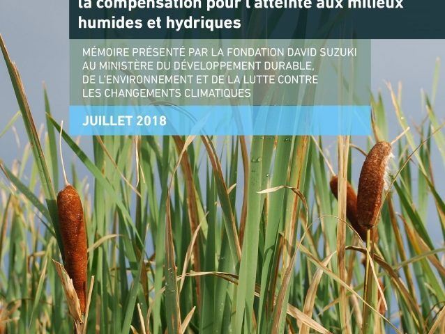 Consultation sur le projet de règlement sur la compensation pour l ...