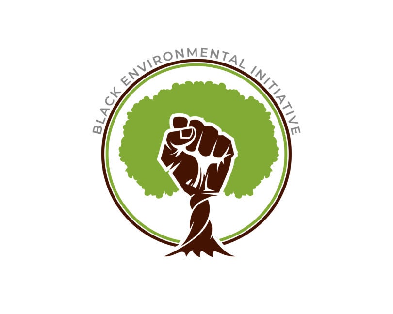 Black-environmental-Initiative-logo - Fondation David Suzuki