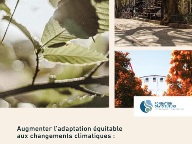 Augmenter l’adaptation équitable aux changements climatiques ...