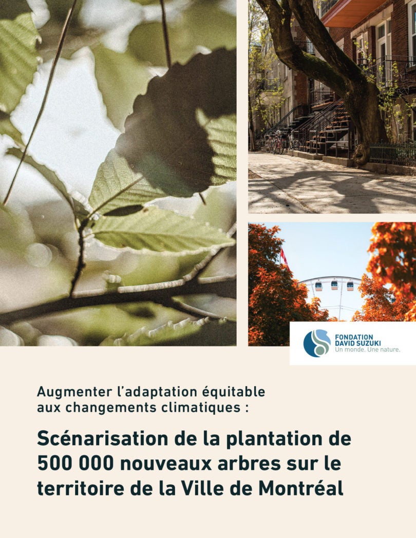 Augmenter l’adaptation équitable aux changements climatiques ...