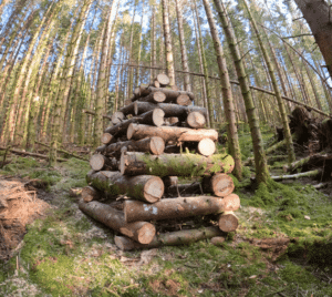 Justin-Tyler-Tate-01-Anthropocene-dale570x510 - Fondation David Suzuki